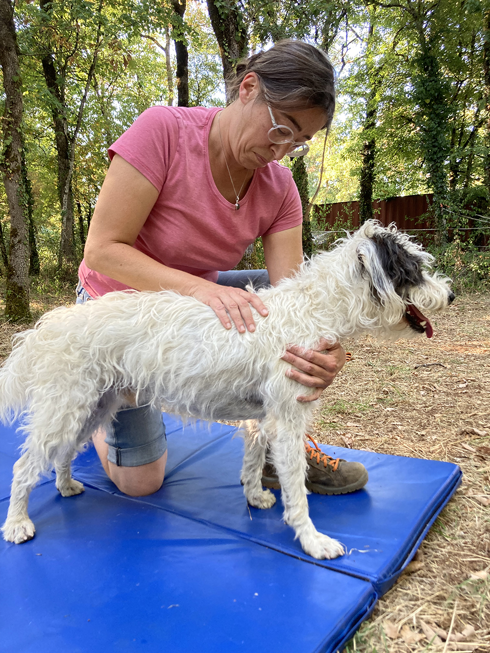 Galerie photos - SHIATSU ANIMALIER