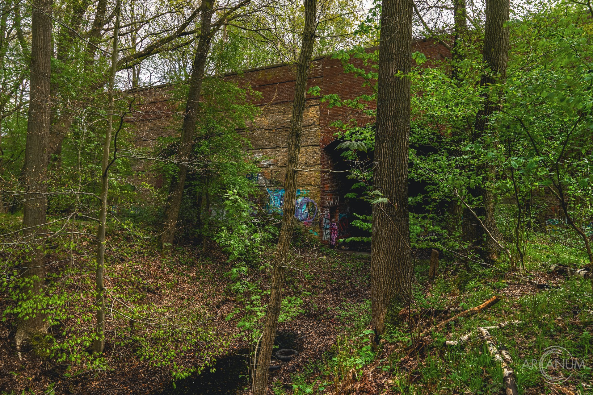 Military Shooting Range "Swamp of the Dead" - Arcanum Urbex