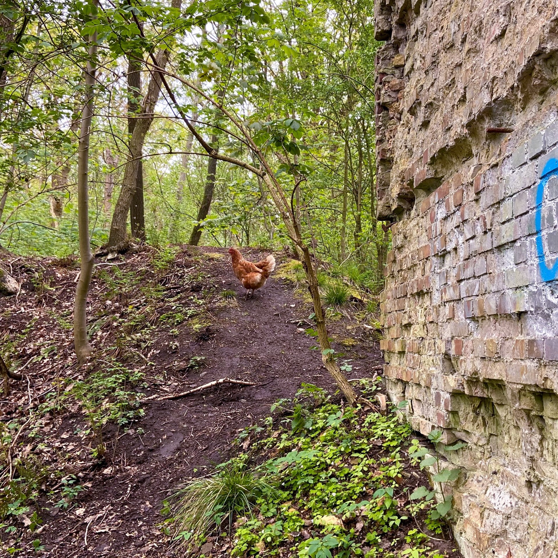 Military Shooting Range "Swamp of the Dead" - Arcanum Urbex