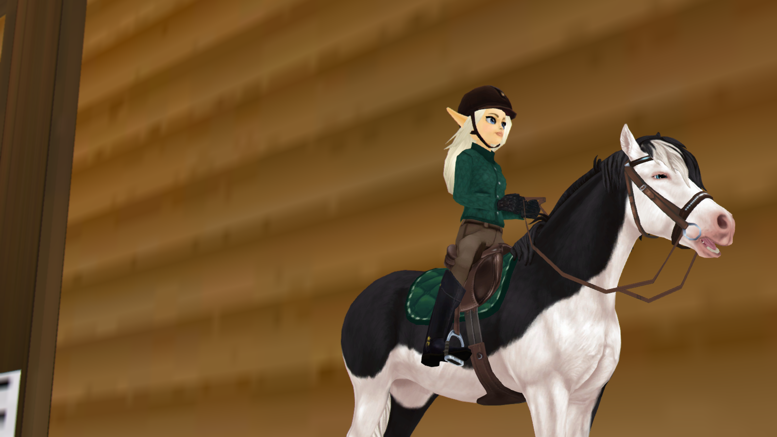 Gallerie - happy-scientists-ssos Webseite!