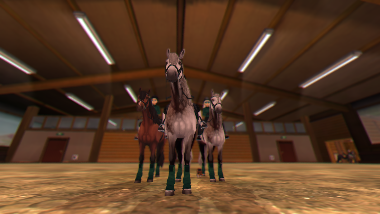 Gallerie - happy-scientists-ssos Webseite!