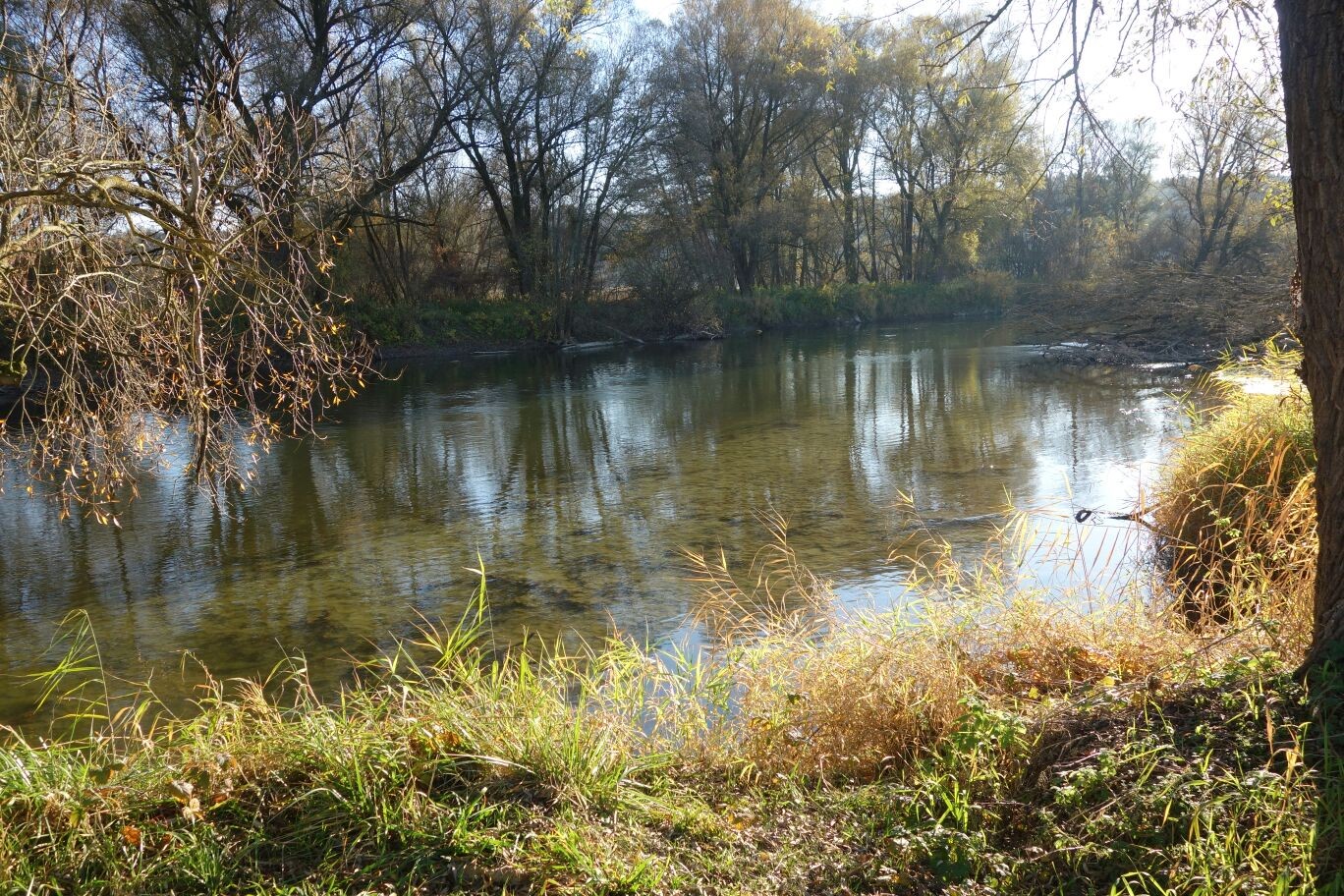 Geschützter Bereich - Login - von-den-ampertaler-leiten Webseite!