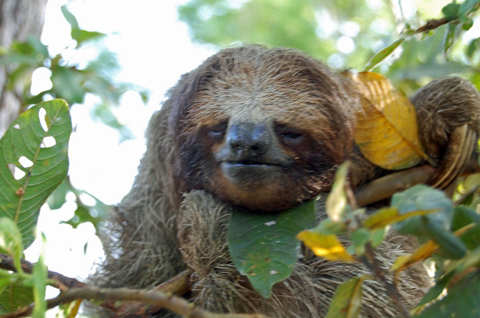 La Reserva de la Biósfera del Río Plátano - Plan de Salud en Honduras ...