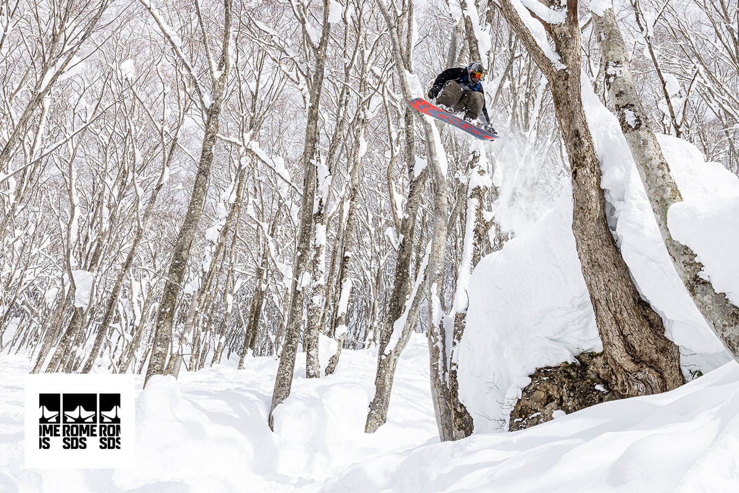 ROME SDS - hascoproducts ページ！