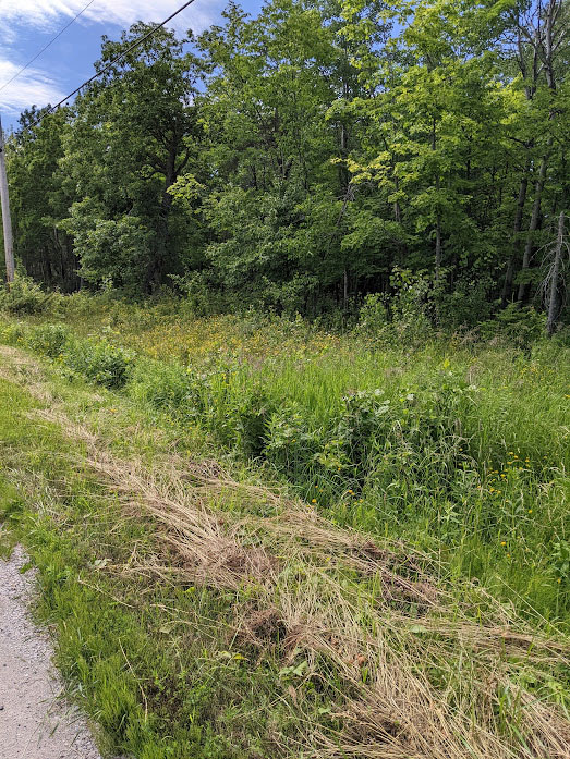 Cook - Manitoulin Island Real Estate