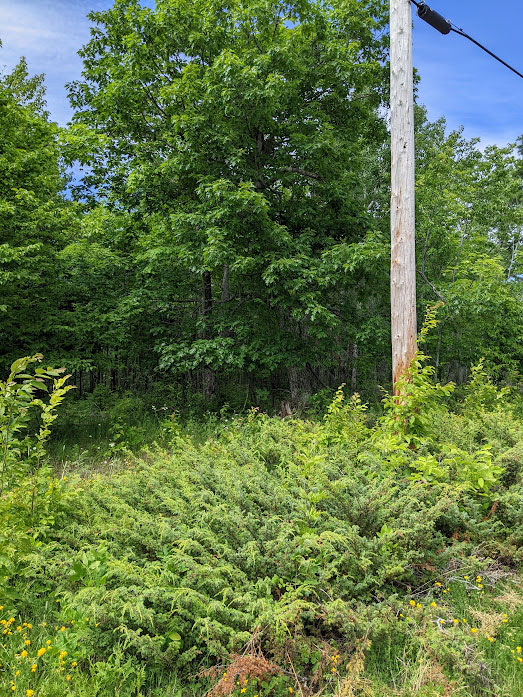 Cook - Manitoulin Island Real Estate