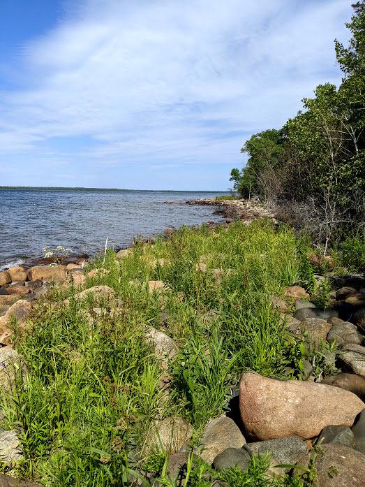 Cook - Manitoulin Island Real Estate