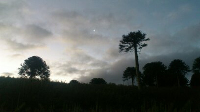 El piñon - Descubre icalma, playa, Lago y nieve para tus vacaciones.