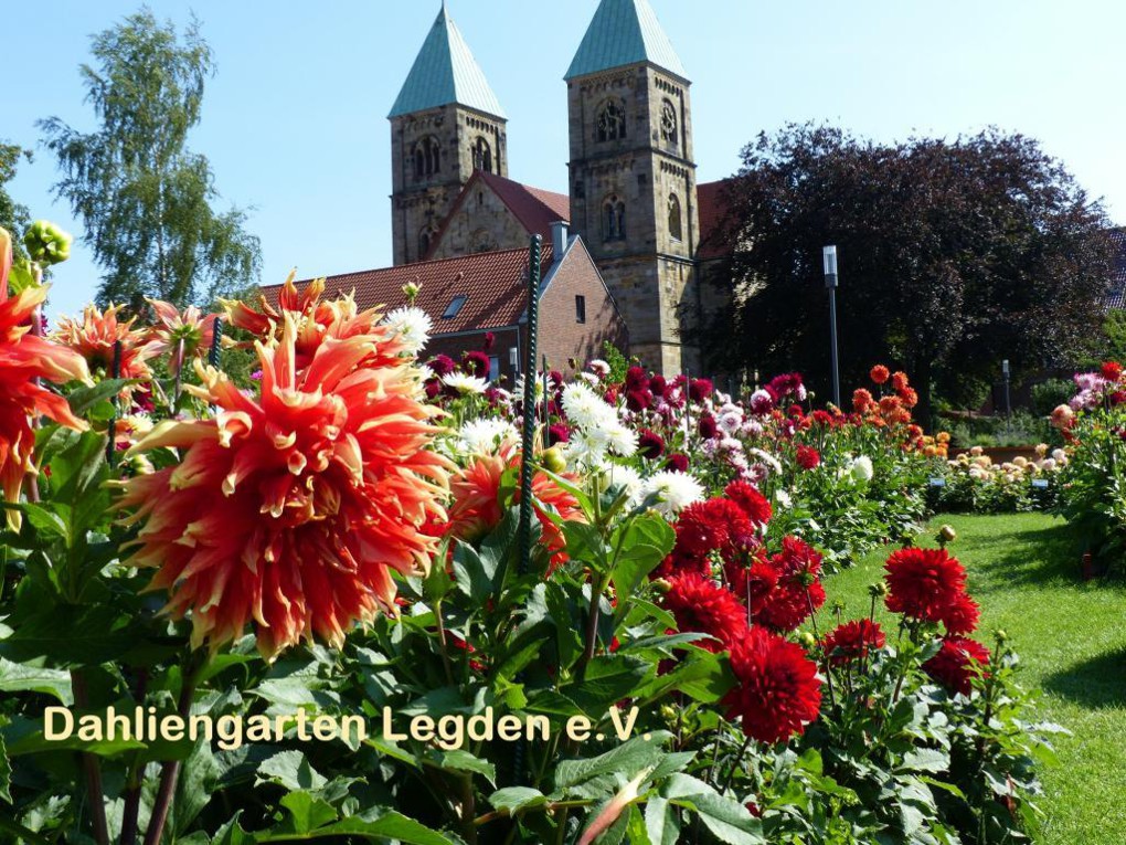 48739 Legden Dahliengarten - Offene Gaerten in Westfalen, Gartenmessen