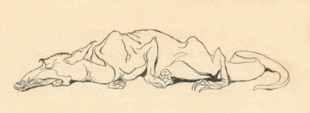 Illustrations of dragons by Arthur Rackham - myfairyland