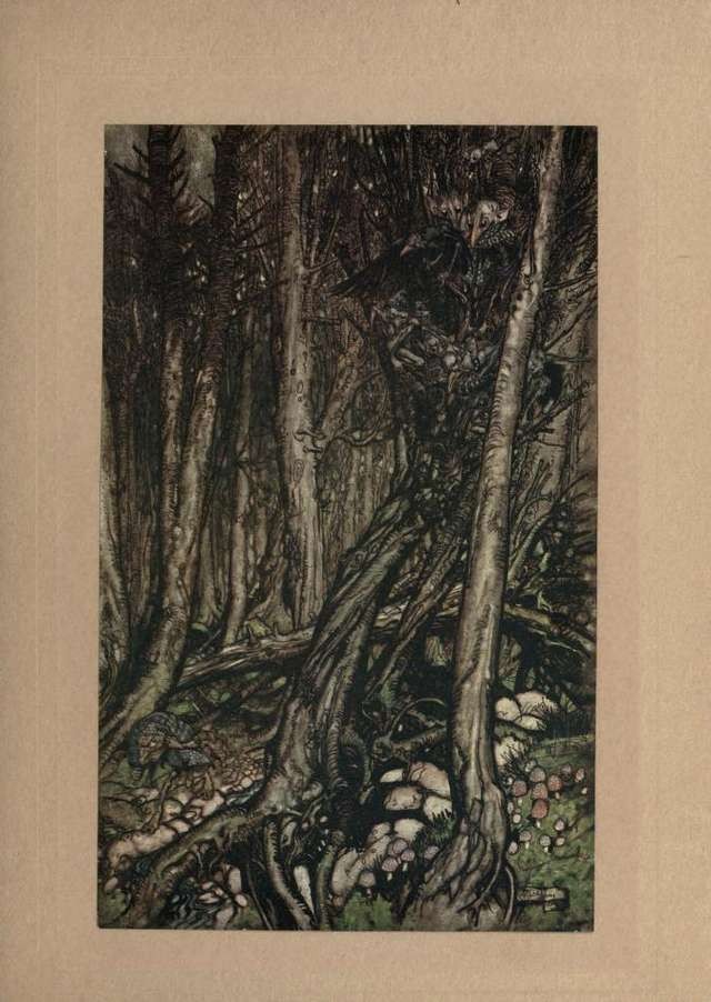 Undine - myfairyland