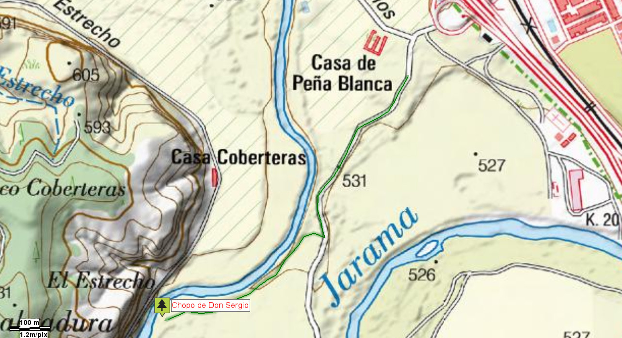 RIVAS-VACIAMADRID - Árboles Singulares de la Comunidad de Madrd