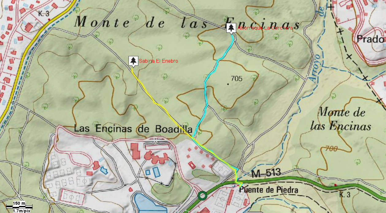 BOADILLA DEL MONTE - Árboles Singulares de la Comunidad de Madrd