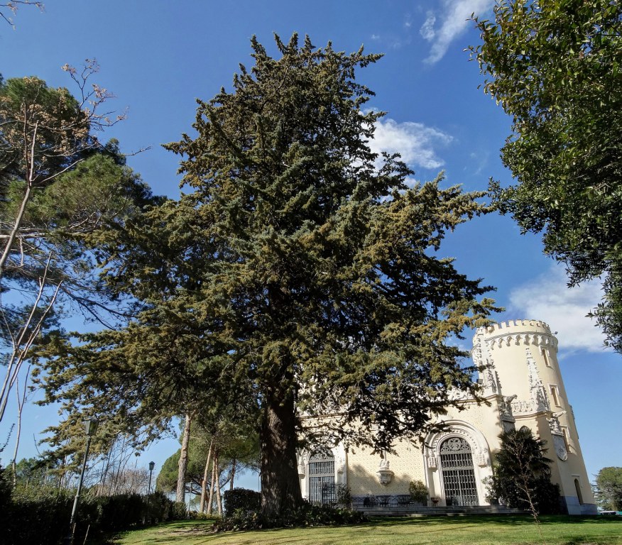 MADRID - Árboles Singulares de la Comunidad de Madrd
