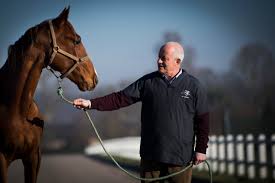 Les chevaux bénéficient d'un suivi rigoureux grâce à notre équipe ...