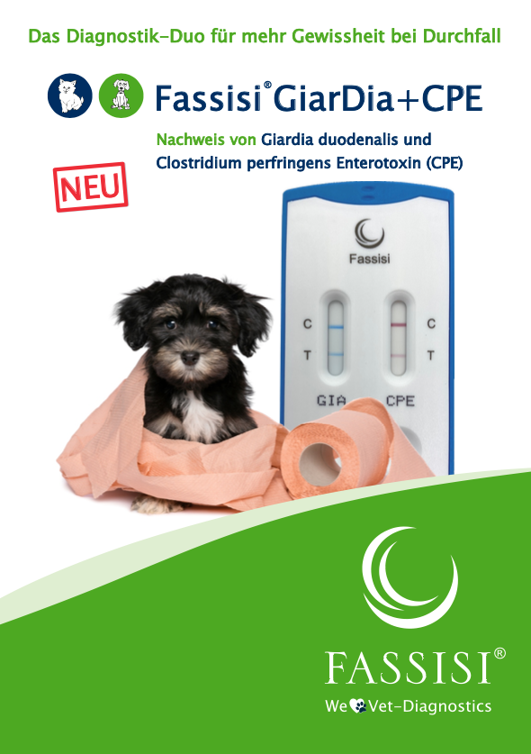 Fassisi GiarDia + CPE: The diagnostic duo for more certainty in ...