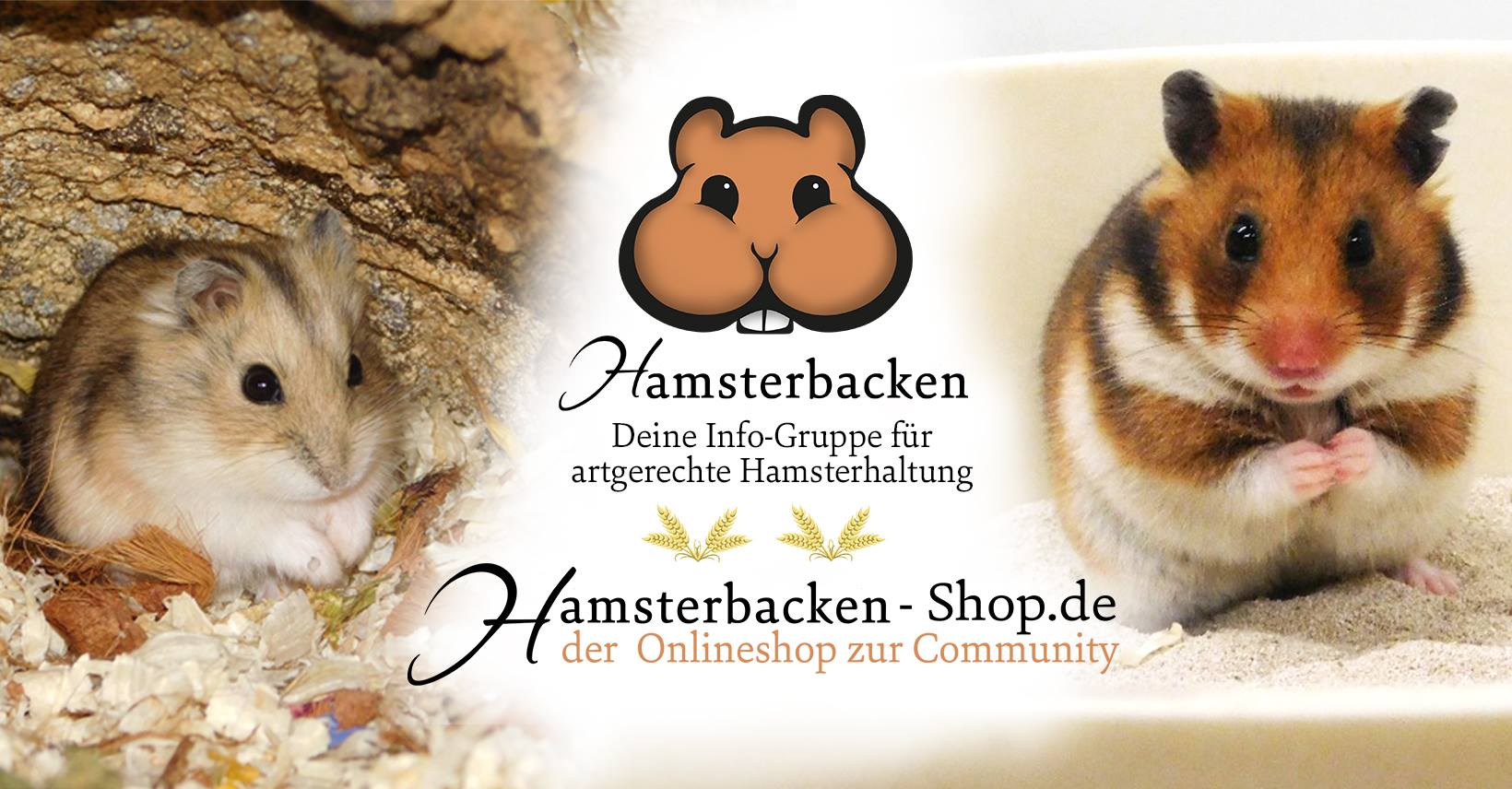 Forum? War gestern... - Hamsterbacken.com