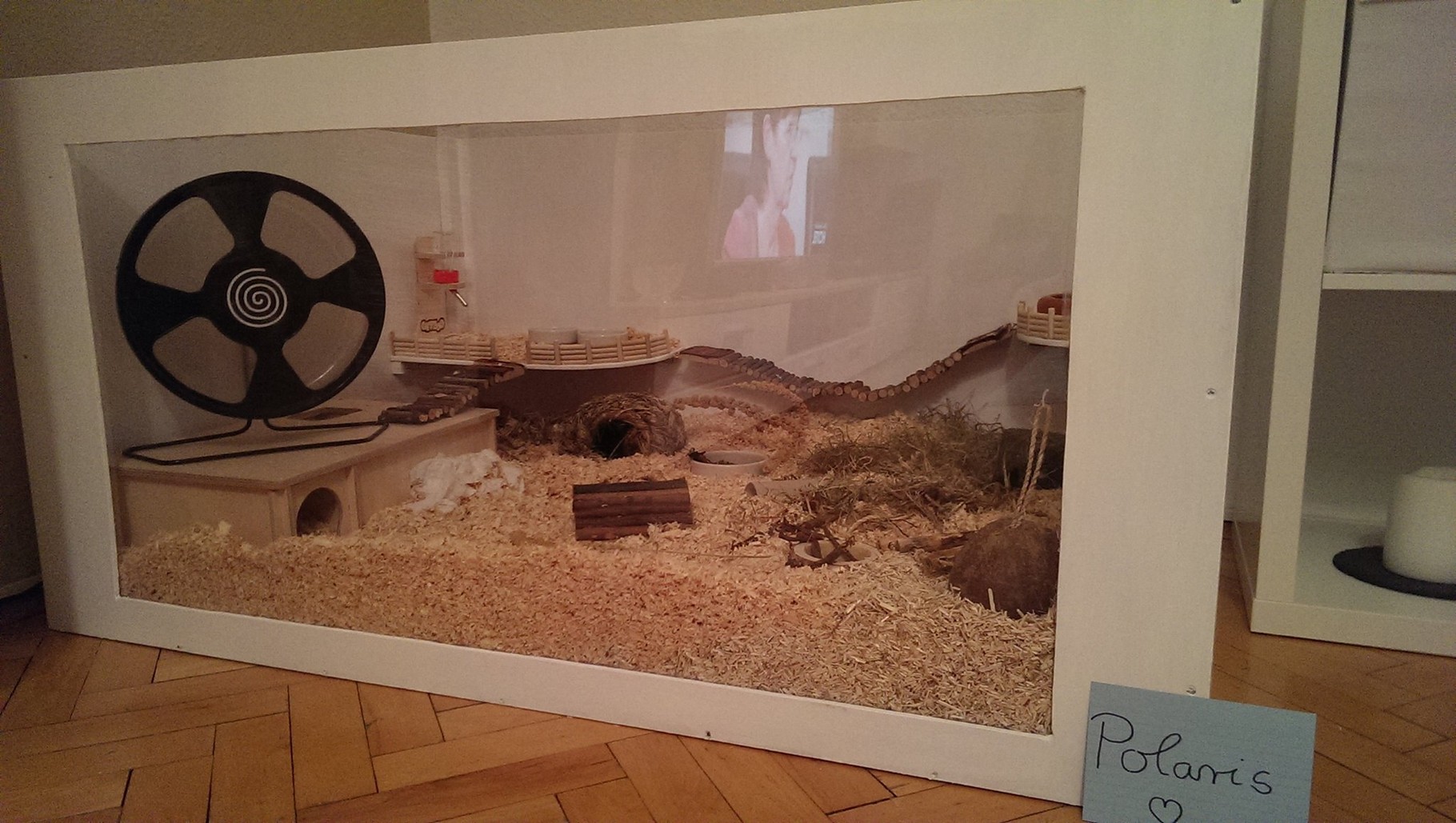 Das Hamstergehege - Hamsterbacken.com