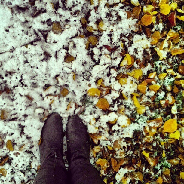 Wintumn - fuyuKids（奈良・富雄の英語スクール）