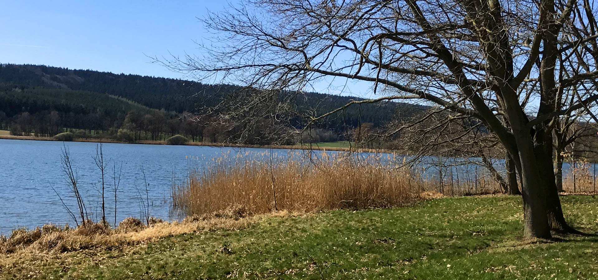 Ferienhaus "Seewind" + "Seerose" - Stausee Hohenfelden
