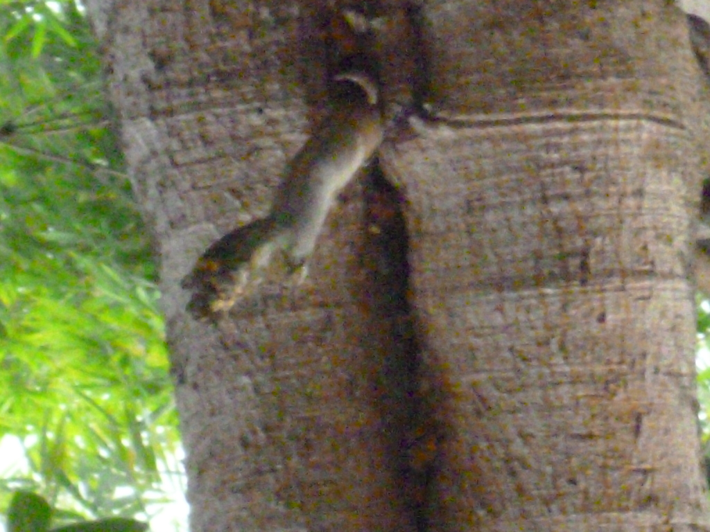 Para Masturbar La Retina P Gina Web De Vaganciaexquisita