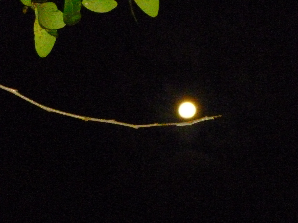 Para Masturbar La Retina P Gina Web De Vaganciaexquisita