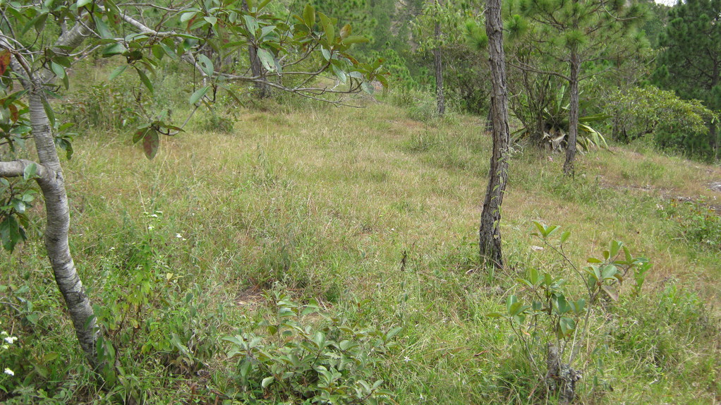 Macuelizo, Valle de Angeles - JCC Bienes Raices Honduras