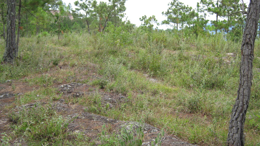 Macuelizo, Valle de Angeles - JCC Bienes Raices Honduras