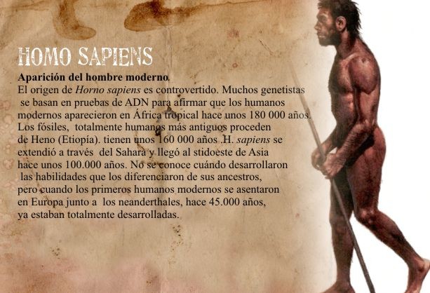 El recorrido del Homo Sapiens - El Mausoleo El recorrido del Homo Sapiens - El Mausoleo
