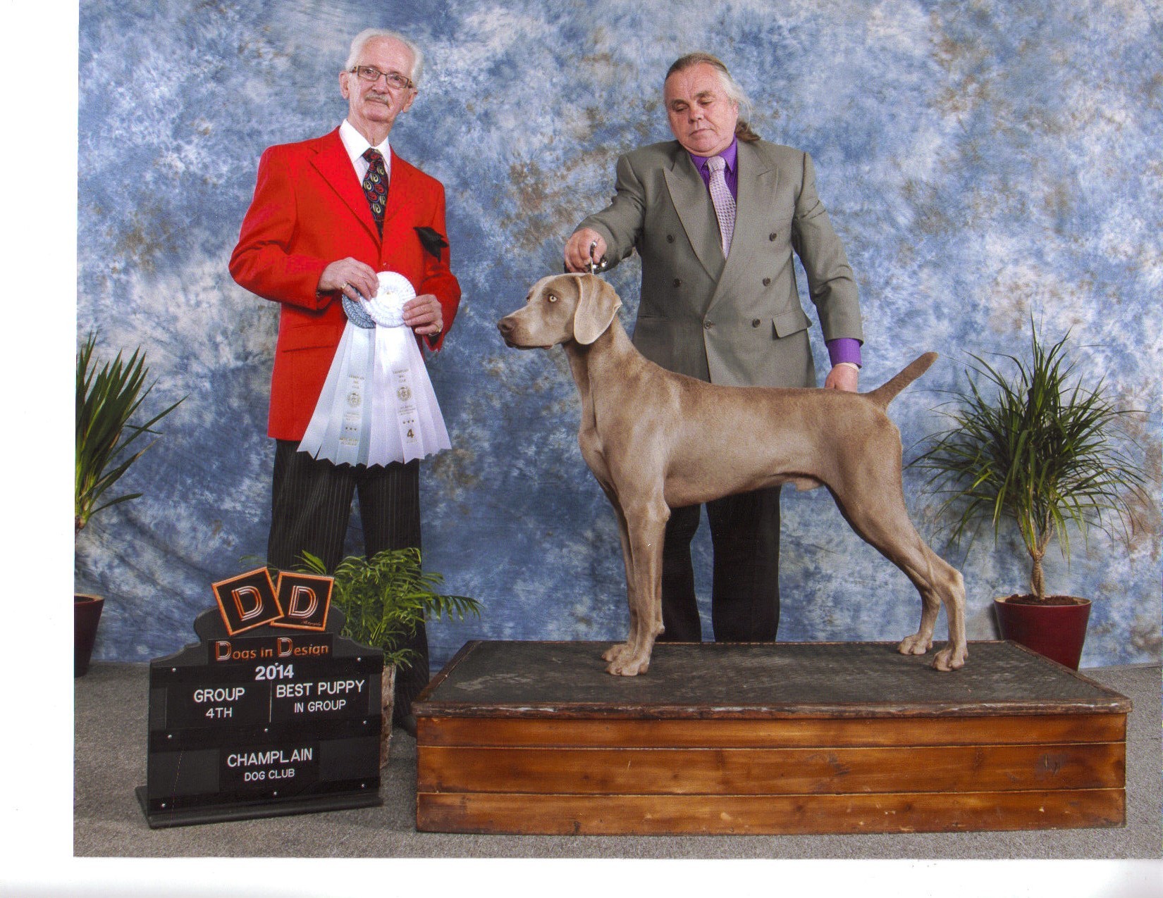 Mulitple Best Baby Puppy in Show Winner, Multiple Best Puppy in Group ...