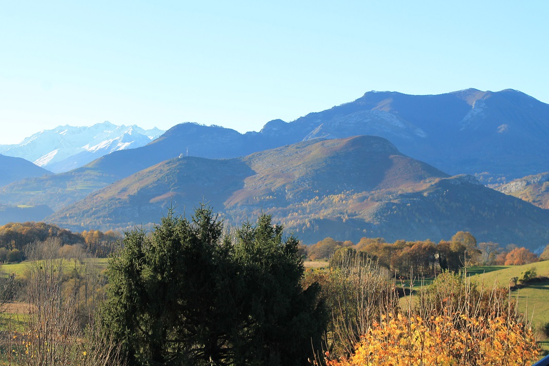 Bienvenue à Hosanna House! - Site de hosannahouse