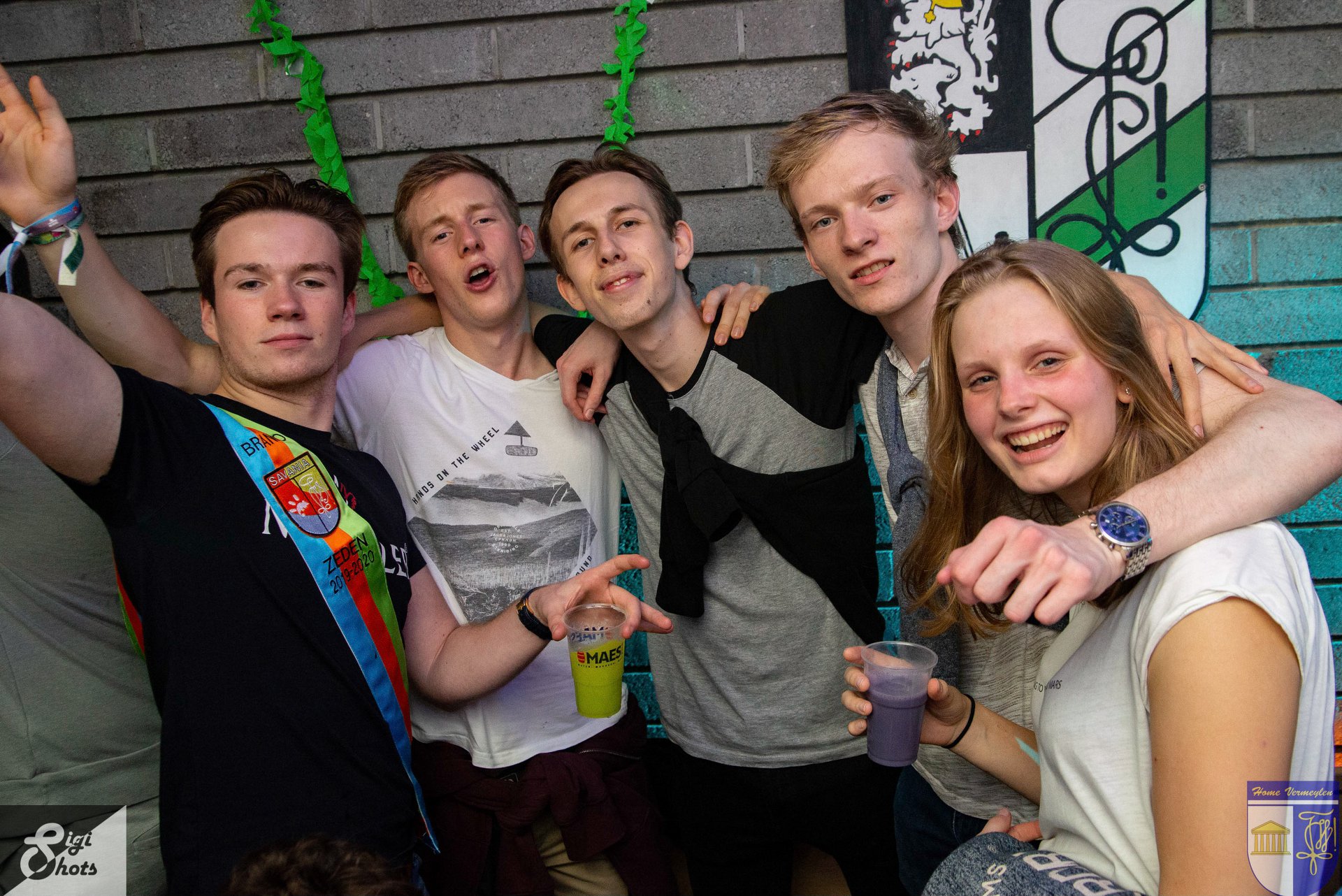 Savania voor beginners: - De website van savania!