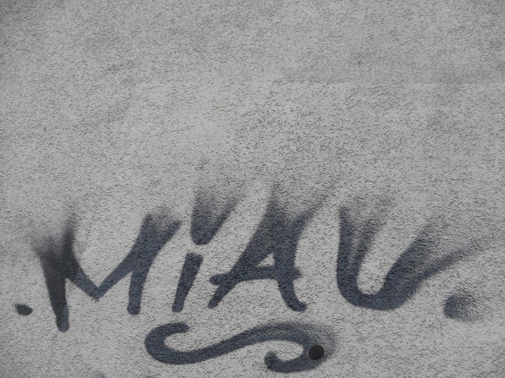2017 Miau Graffiti - hannelore-fotos