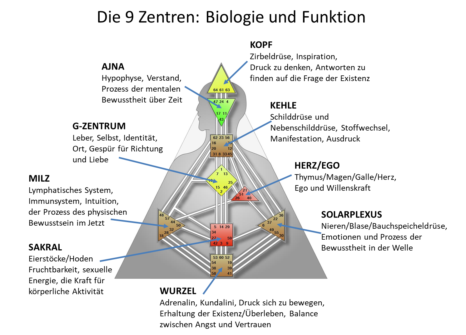 Human Design System V Experience human-design-system-v-experience