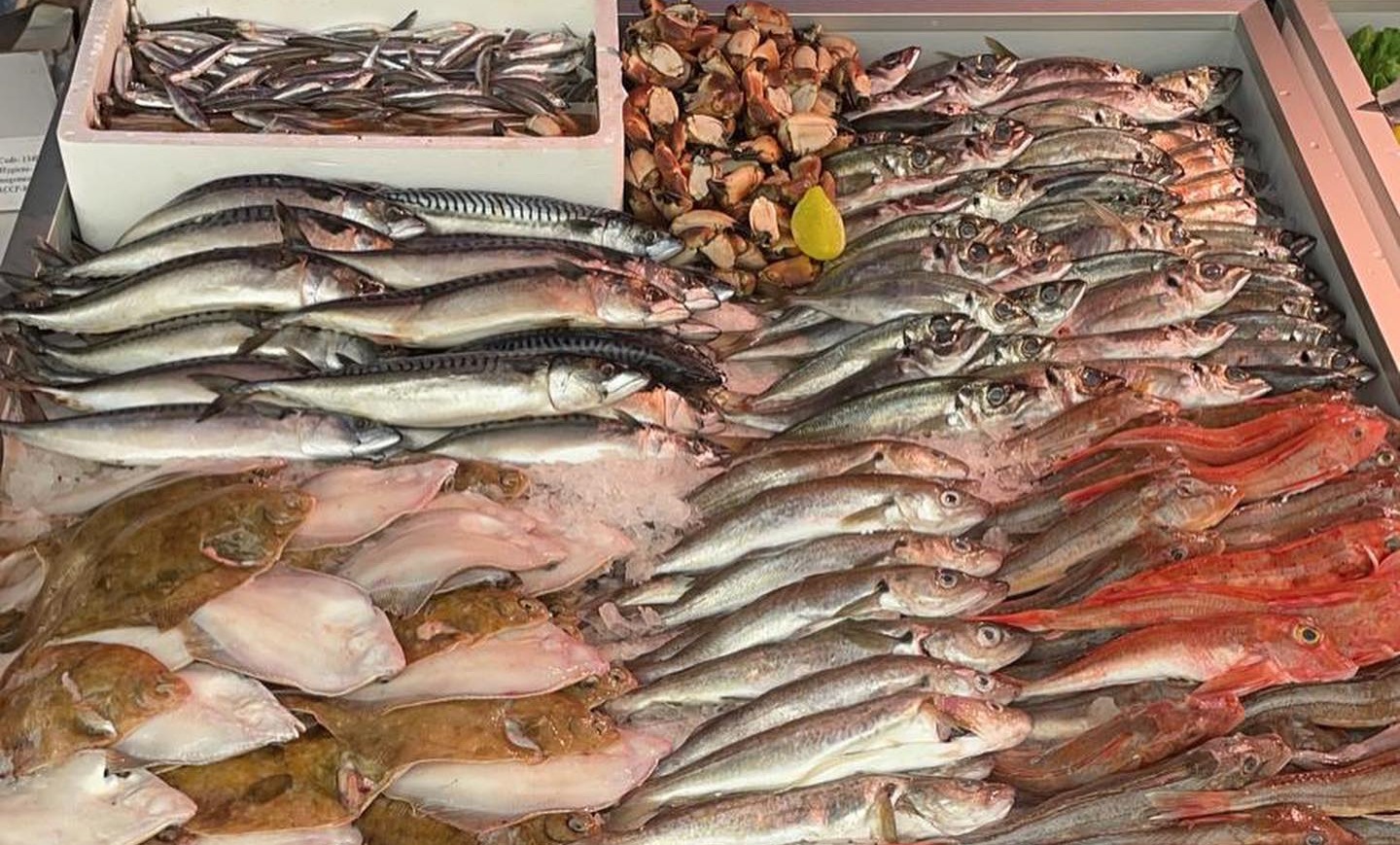 Als vis naar vis ruikt, dan is hij niet meer vers. Verse vis ruikt naar ...