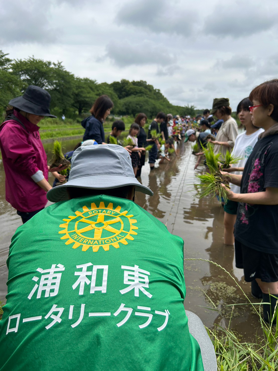 ホーム【見沼たんぼで自然を学ぼう】 - minuma-rotary ページ！