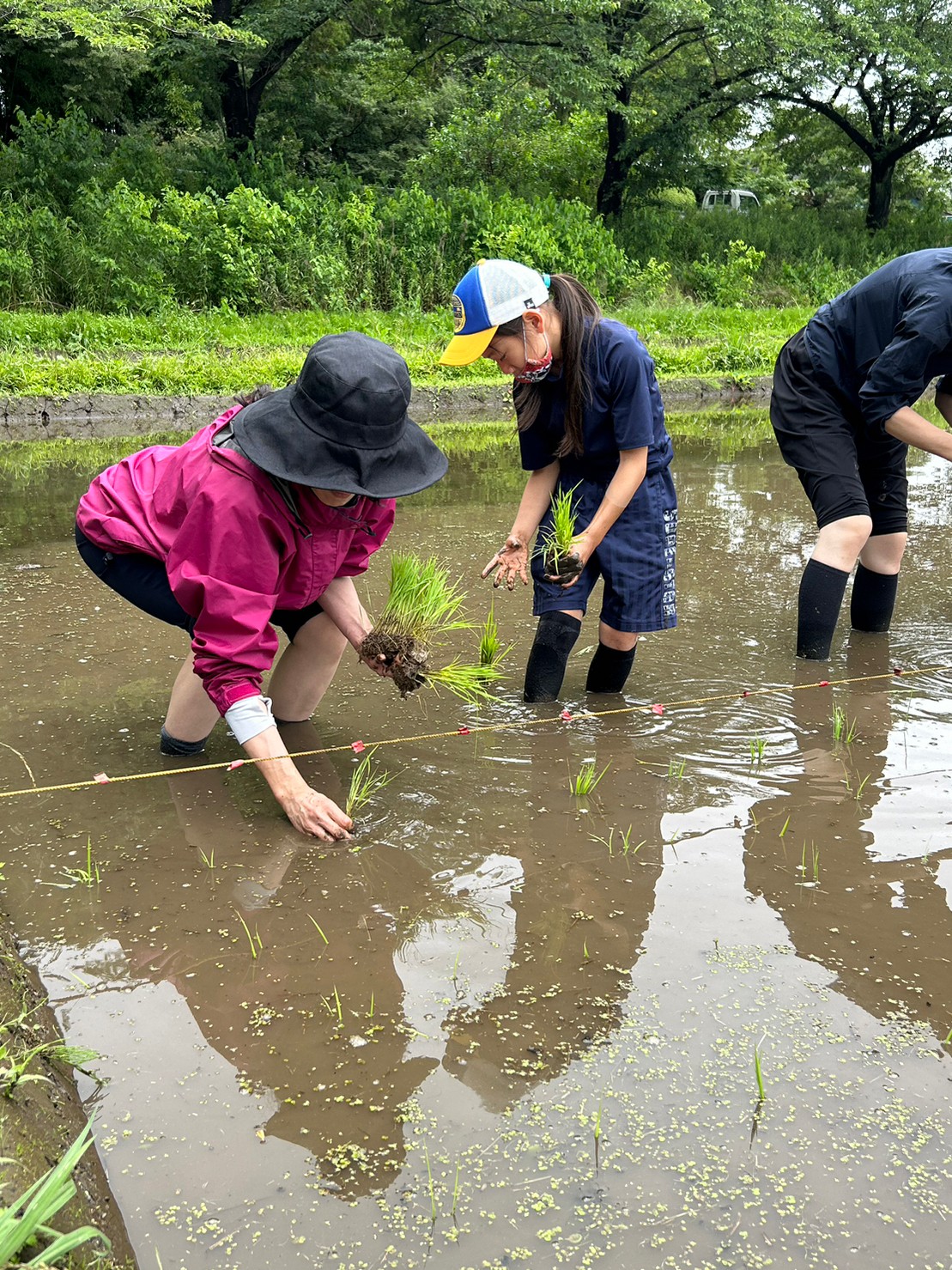 ホーム【見沼たんぼで自然を学ぼう】 - minuma-rotary ページ！