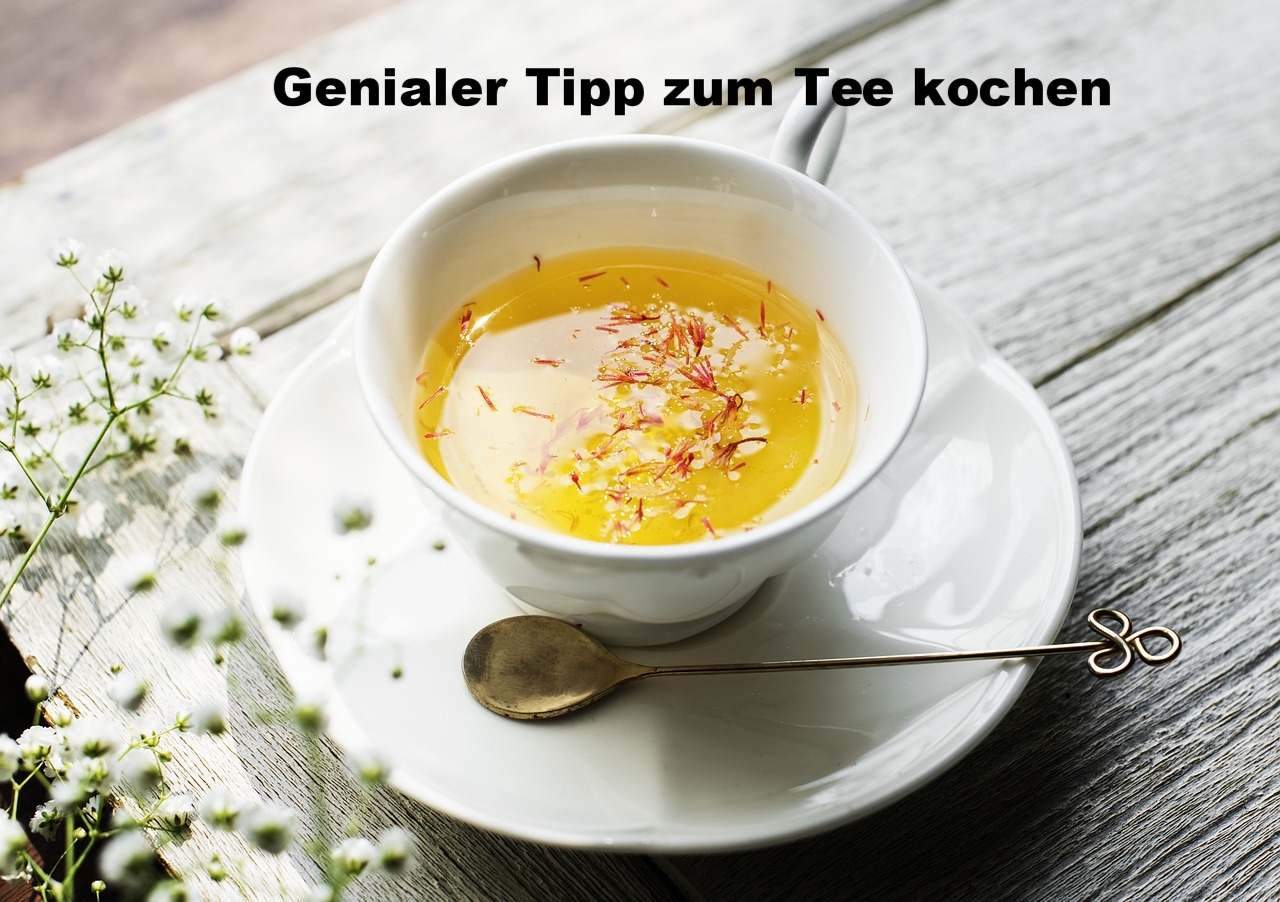 Tee kochen und Energie sparen - Einfache Organisation & Rezepte