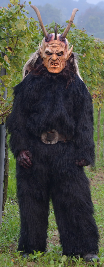 Unsere Perchten - perchten-les Webseite!