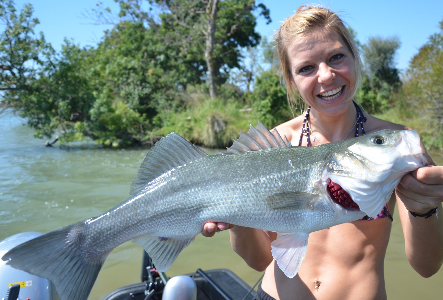 Big Game Fishing - Babs Kijewski