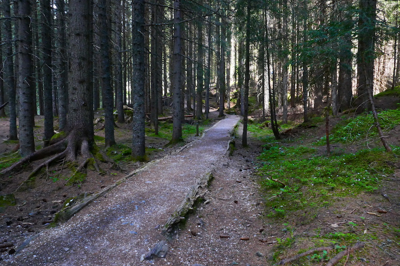 IL SENTIERO MARCIò NEL PARCO DI PANEVEGGIO - Mamma Dolomitica Blog