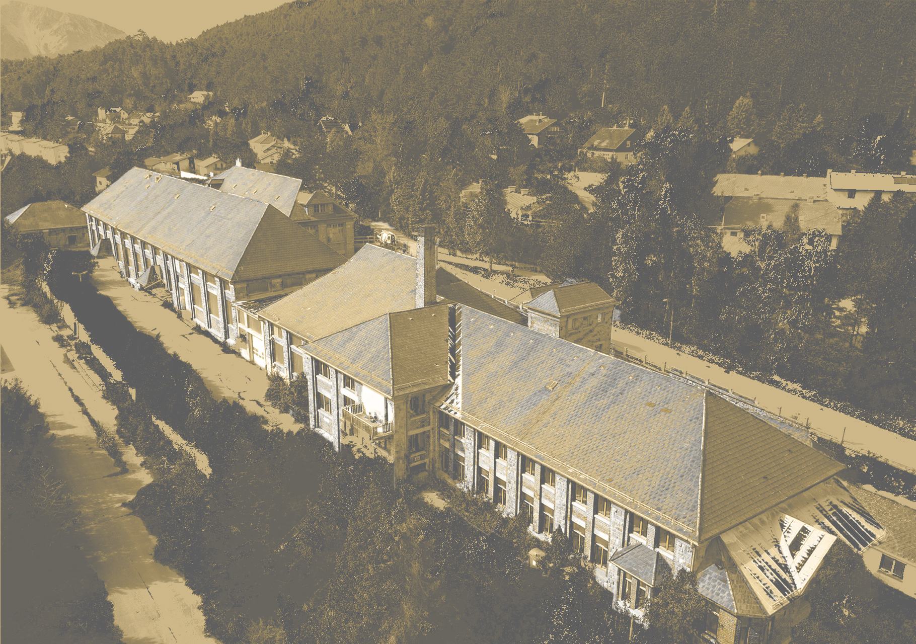 Lebensbogen - von Menschen, Bienen und Kultur - Lebensbogen - von ...