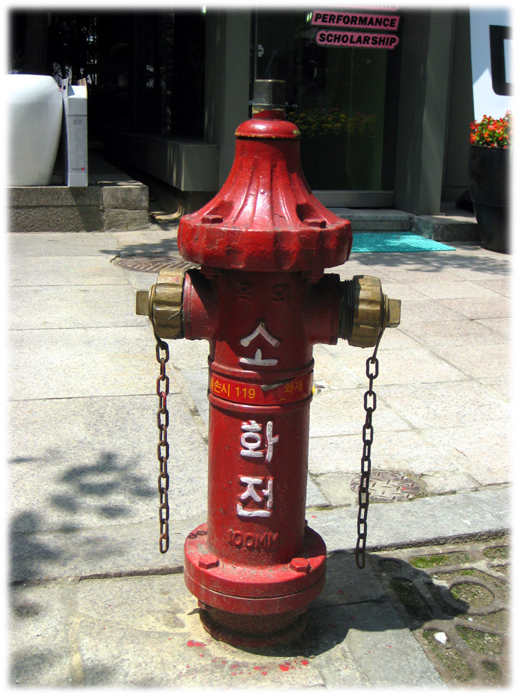 In the Street - Pictures of lovely Seoul! Beautiful photos and videos ...