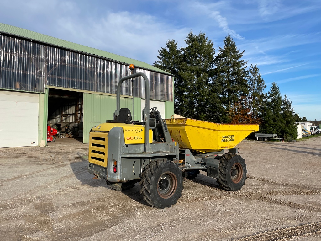 WACKER NEUSON 6001 de 2012 - Used Crane for sale