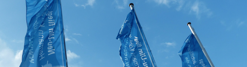 Banderas Verticales Publicitarias Personalizadas - Don Bandera