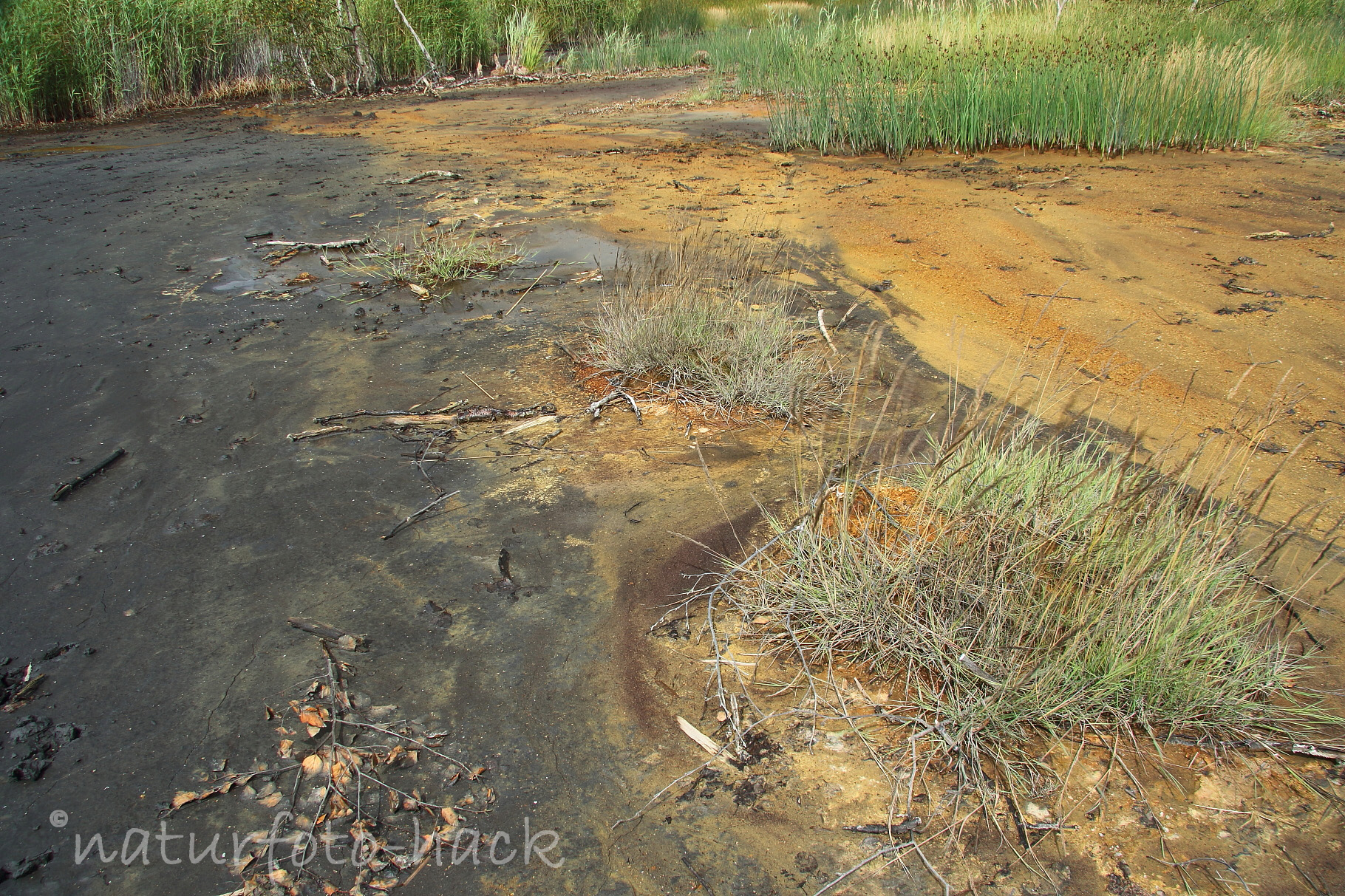 Nationales Naturreservat SOOS/Tschechien - naturfoto-hack webseite
