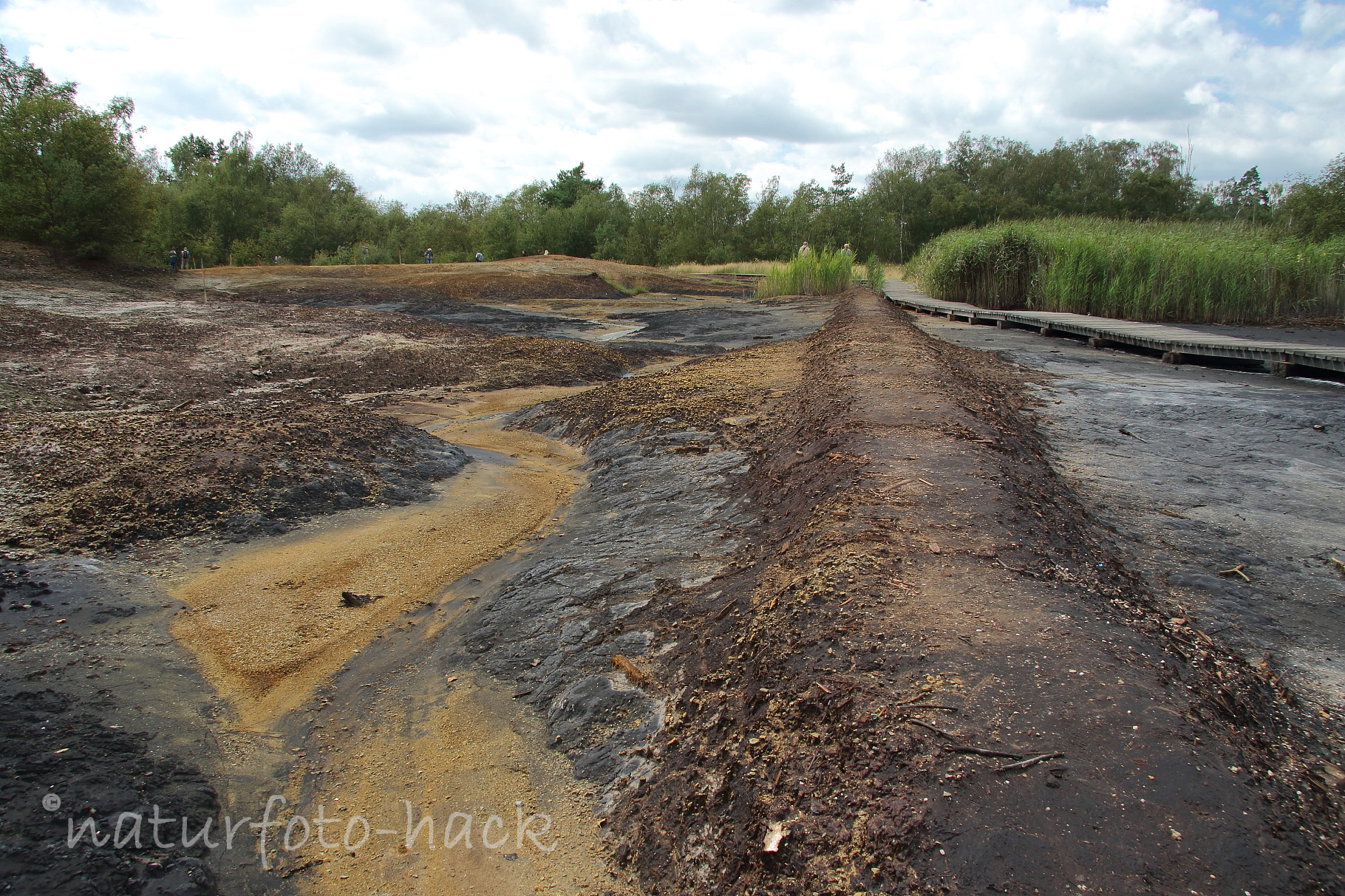 Nationales Naturreservat SOOS/Tschechien - naturfoto-hack webseite