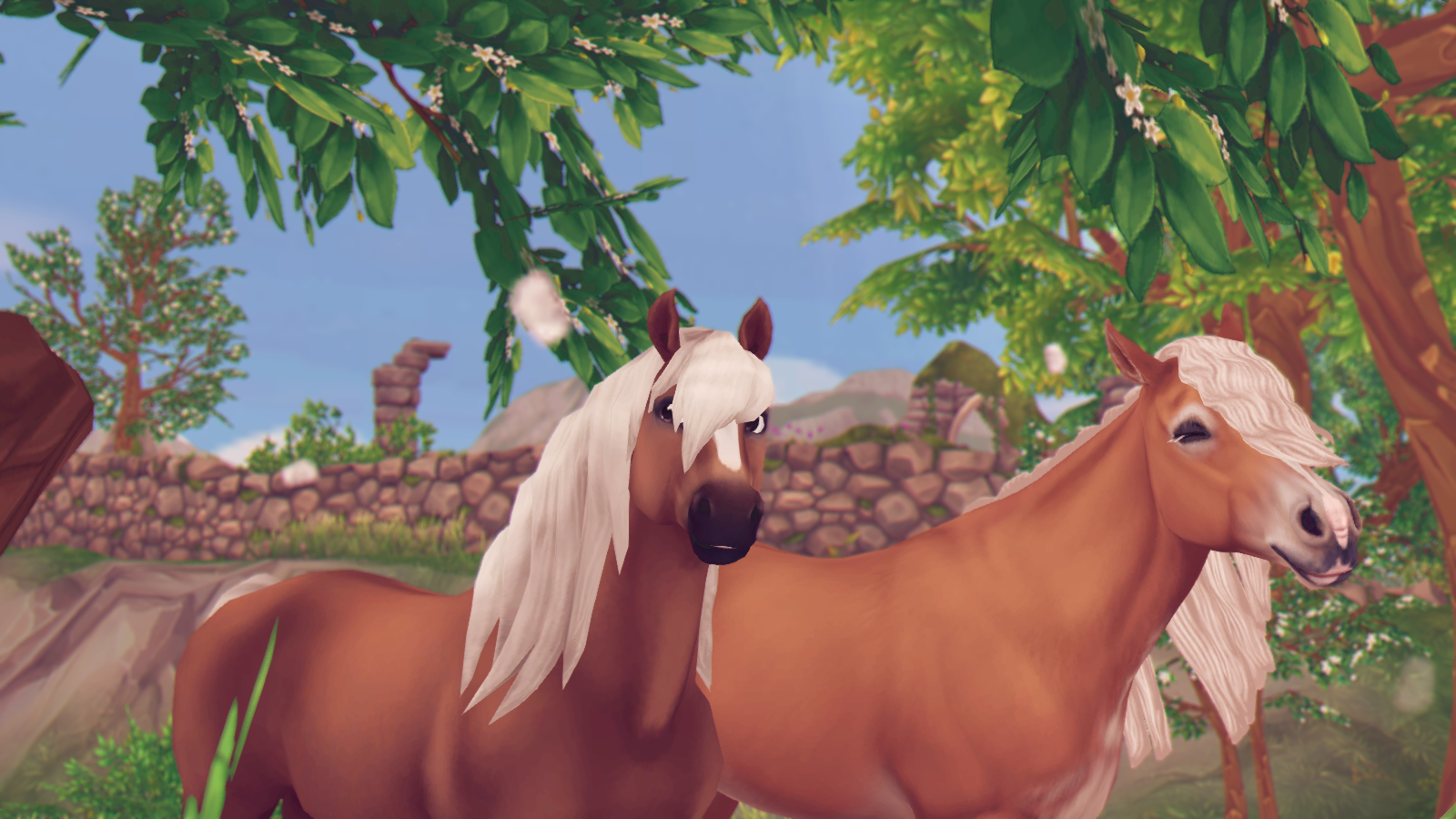 Fortgeschrittenen- Team- CO - SSO Club auf Server 6