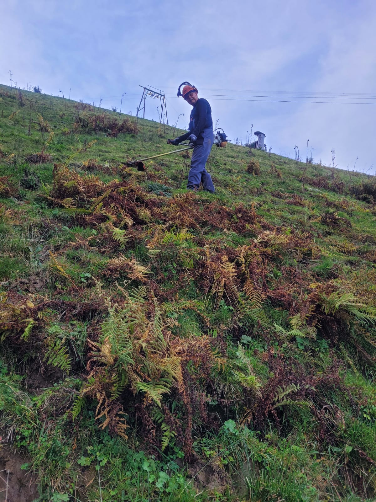 Archiv Schilift Bazora - reinhard-deckers Webseite!