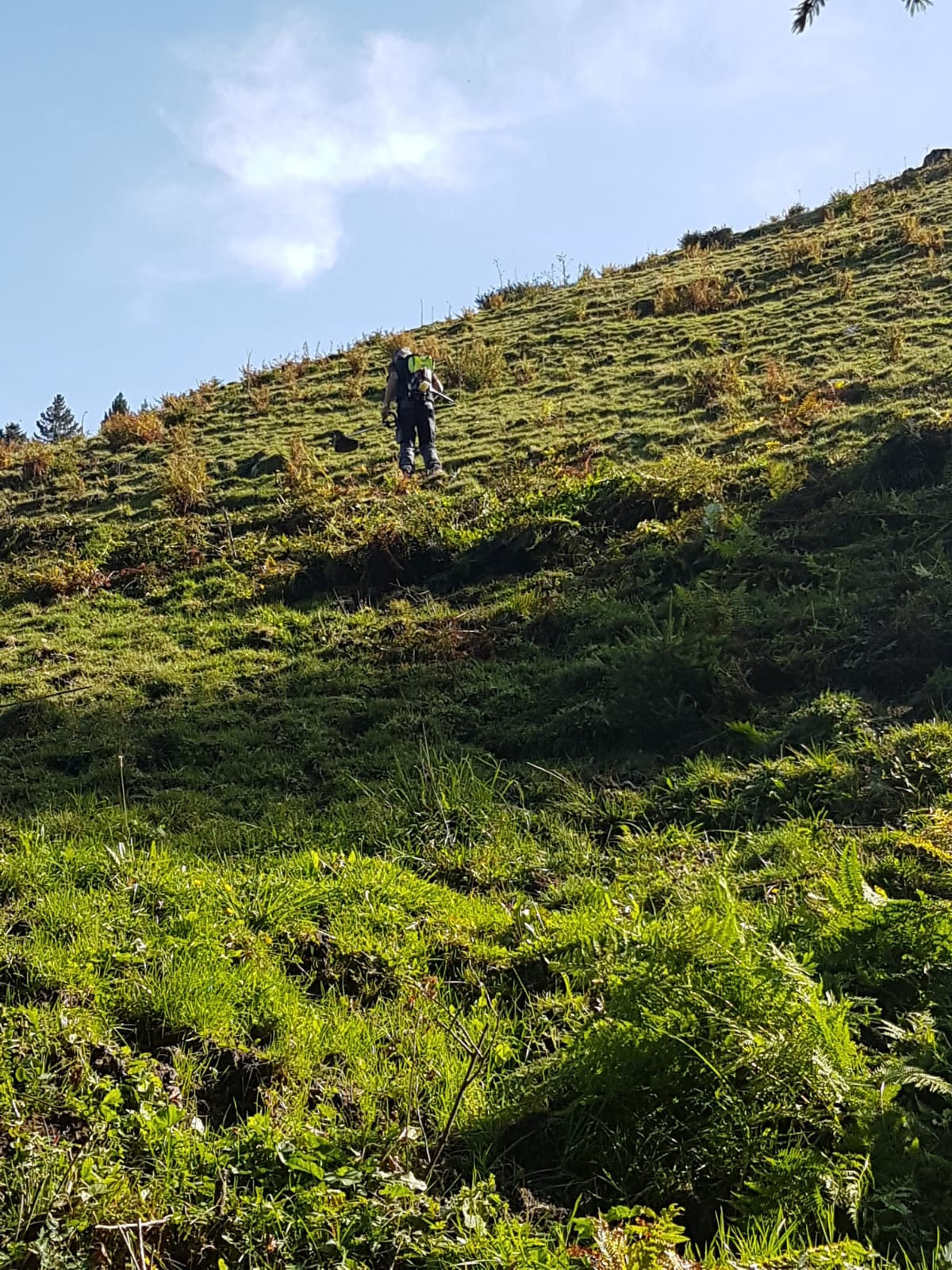 Archiv Schilift Bazora - reinhard-deckers Webseite!